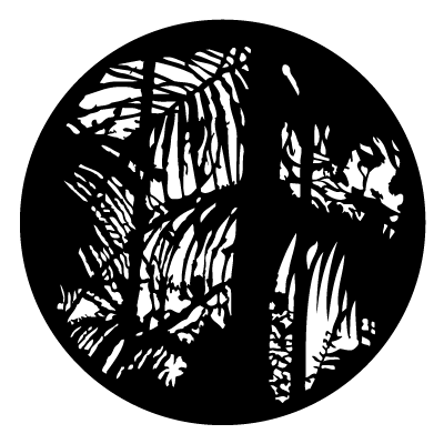 Jungle Gobo | Plant Gobos | Projected Image